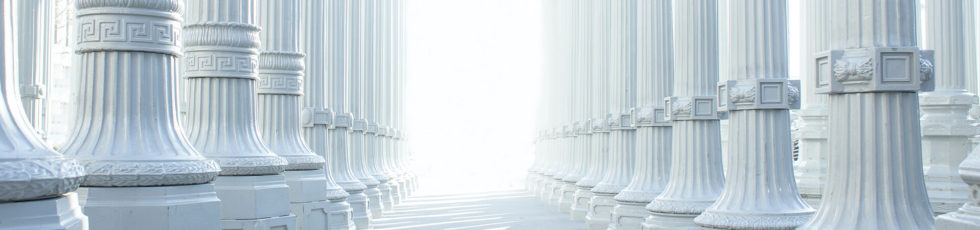 Local Government Law - Elliott Stafford & Associates